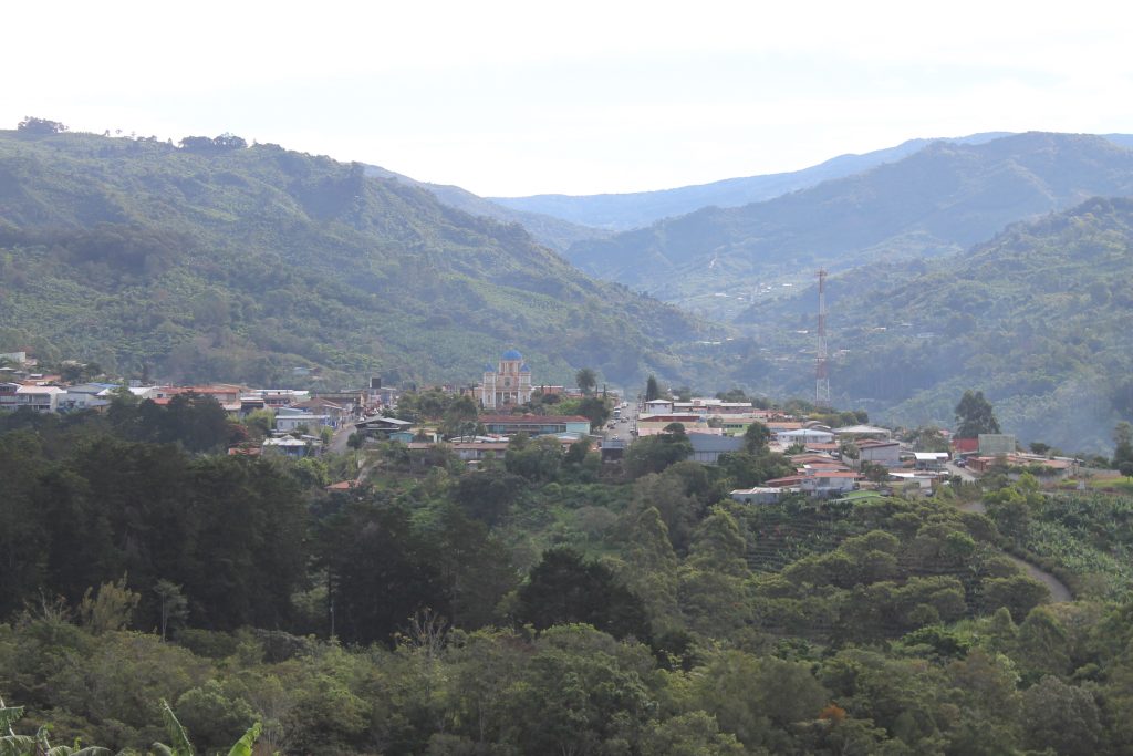 Tarrazu Coffee - Strict Hard Bean Coffee from Tarrazu Costa Rica